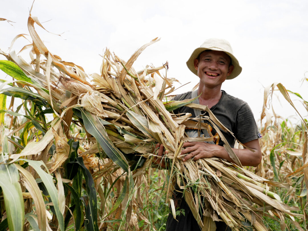 CPP Myanmar มุ่งพัฒนาการทำการเกษตร ของประเทศเมียนมาสู่การทำเกษตรยั่งยืน ...